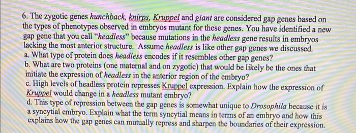 Solved 6. The zygotic genes hunchback, knirps, Kruppel and | Chegg.com