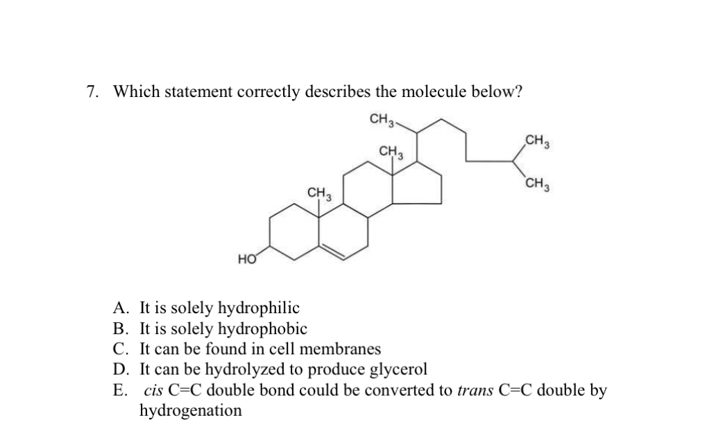 Solved Which statement correctly describes the molecule | Chegg.com