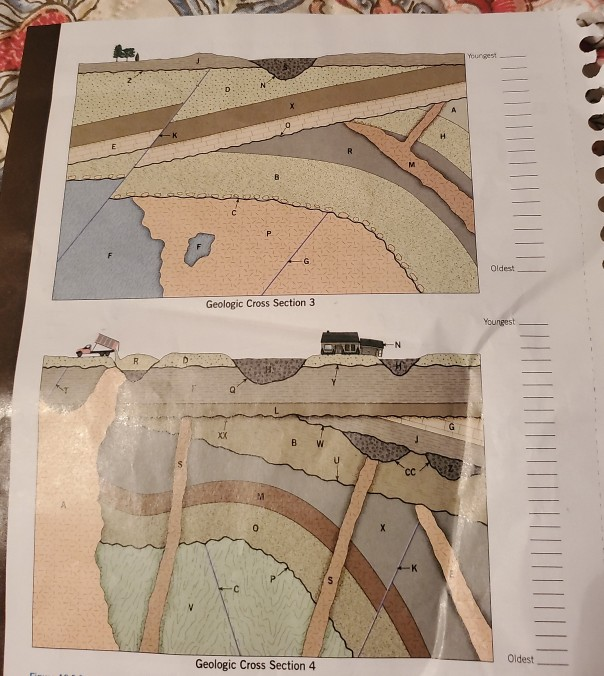Solved Oldest Geologic Cross Section 3 Youngest RD B W | Chegg.com