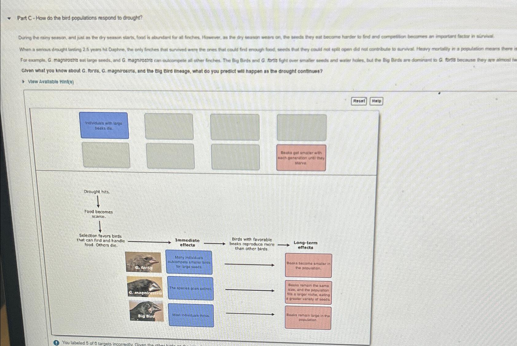 Solved Part C ﻿how Do The Bird Populations Respond To 