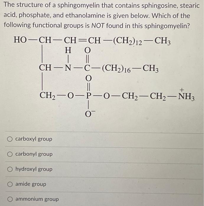 Solved The structure of a sphingomyelin that contains | Chegg.com