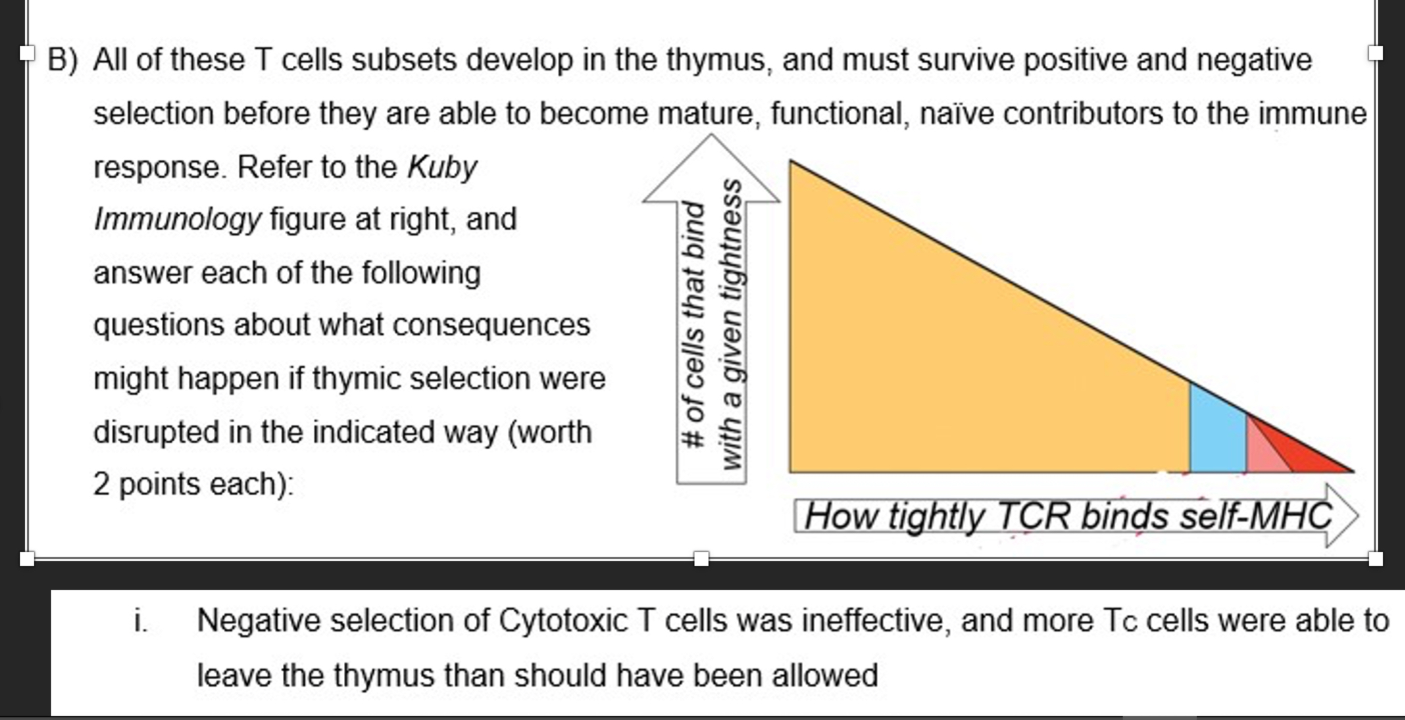 Solved i. ﻿Negative selection of Cytotoxic T cells was | Chegg.com