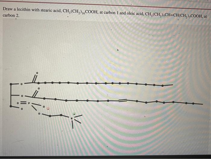 Solved Hi, I dont know whats wrong with this structure. I | Chegg.com