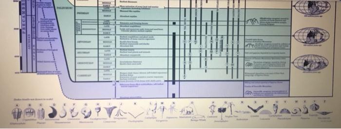 Solved Lesson C: Reference Table Index Fossils GEOLOGIC | Chegg.com