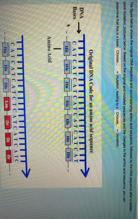 Solved The figure below shows the original DNA sequence and | Chegg.com