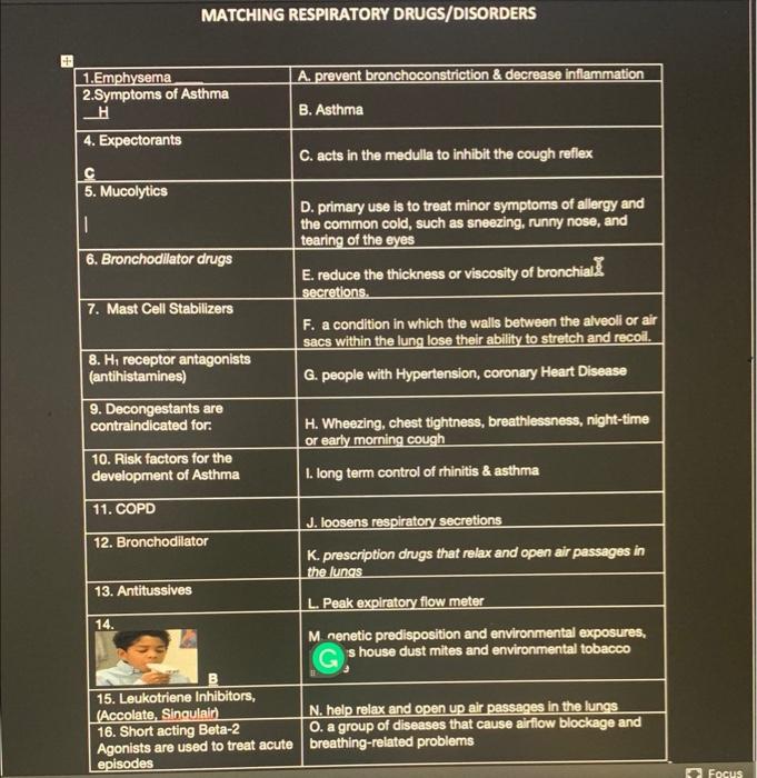 Solved MATCHING RESPIRATORY DRUGS/DISORDERS | Chegg.com