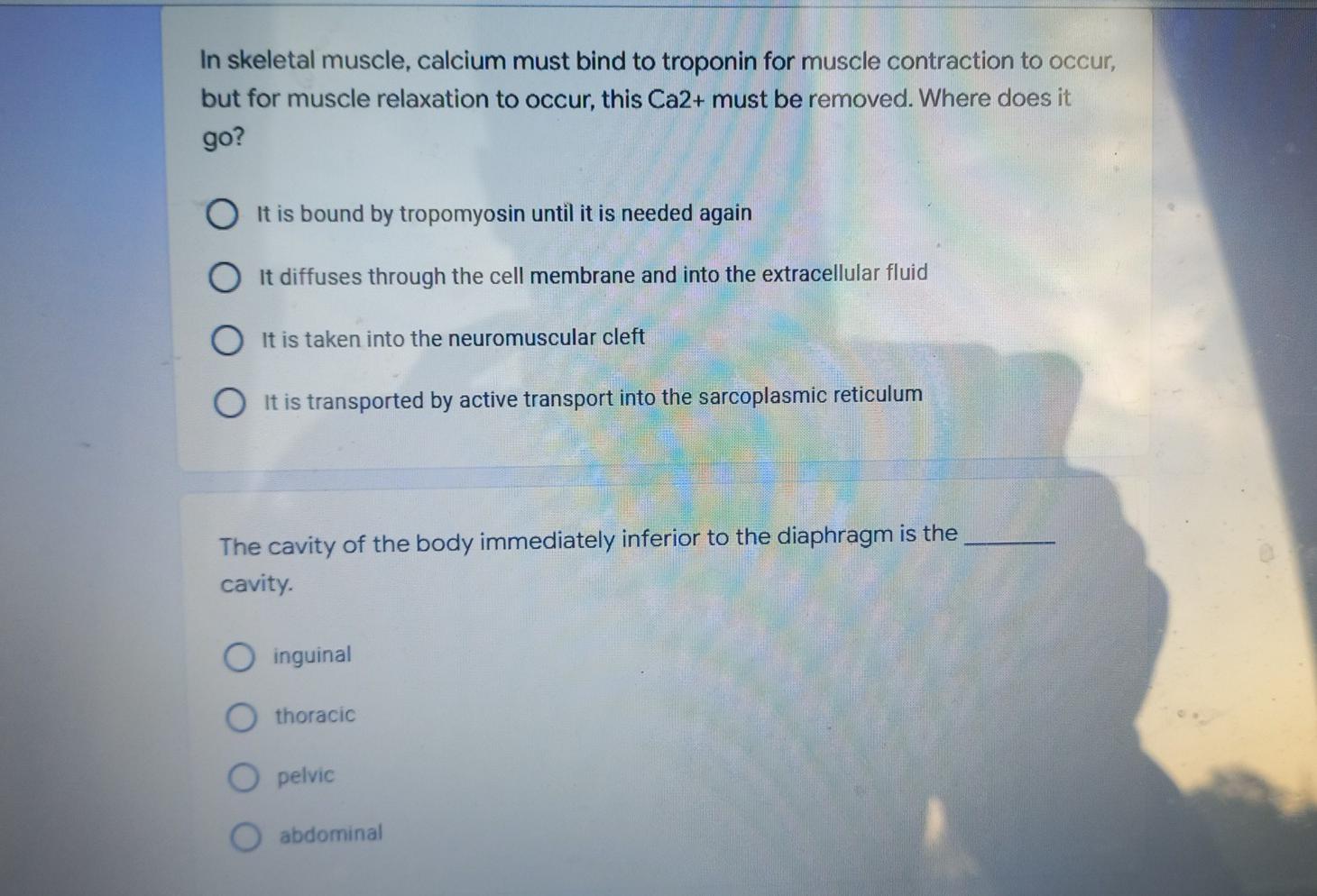 Solved In skeletal muscle, calcium must bind to troponin for | Chegg.com