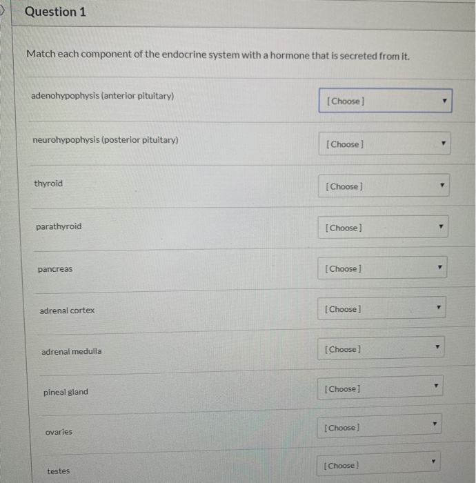 Solved Question 1 Match each component of the endocrine | Chegg.com