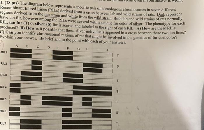 Solved 1. (18 pts) The diagram below represents a specific | Chegg.com