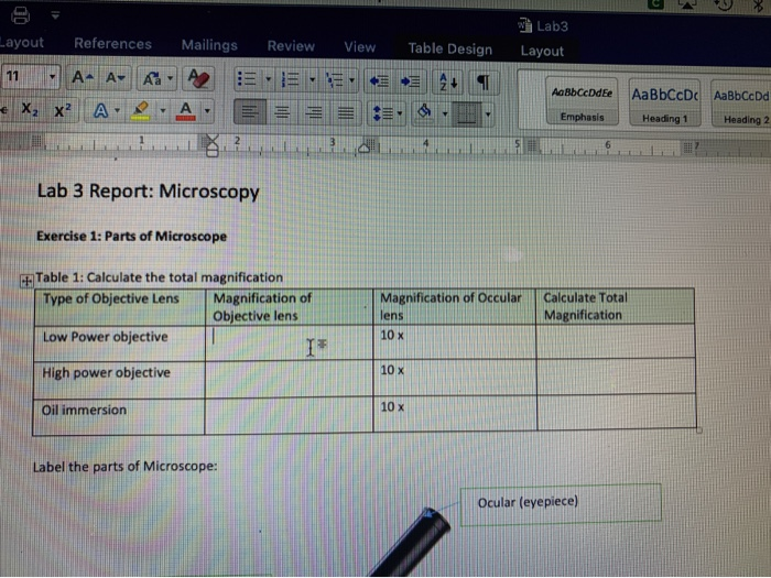 Solved Lab3 Layout Layout References Mailings 11 A- A AA X, | Chegg.com