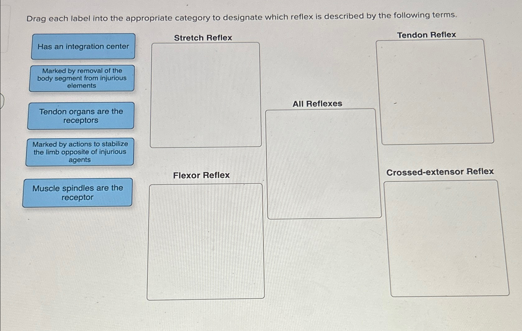 Solved Drag each label into the appropriate category to | Chegg.com