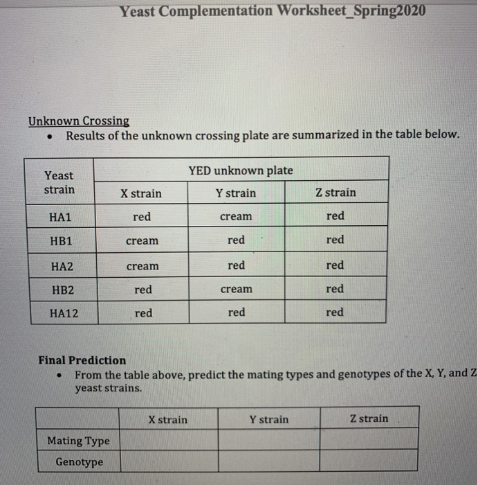 Yeast Complementation Worksheet Spring2020 Unknown | Chegg.com