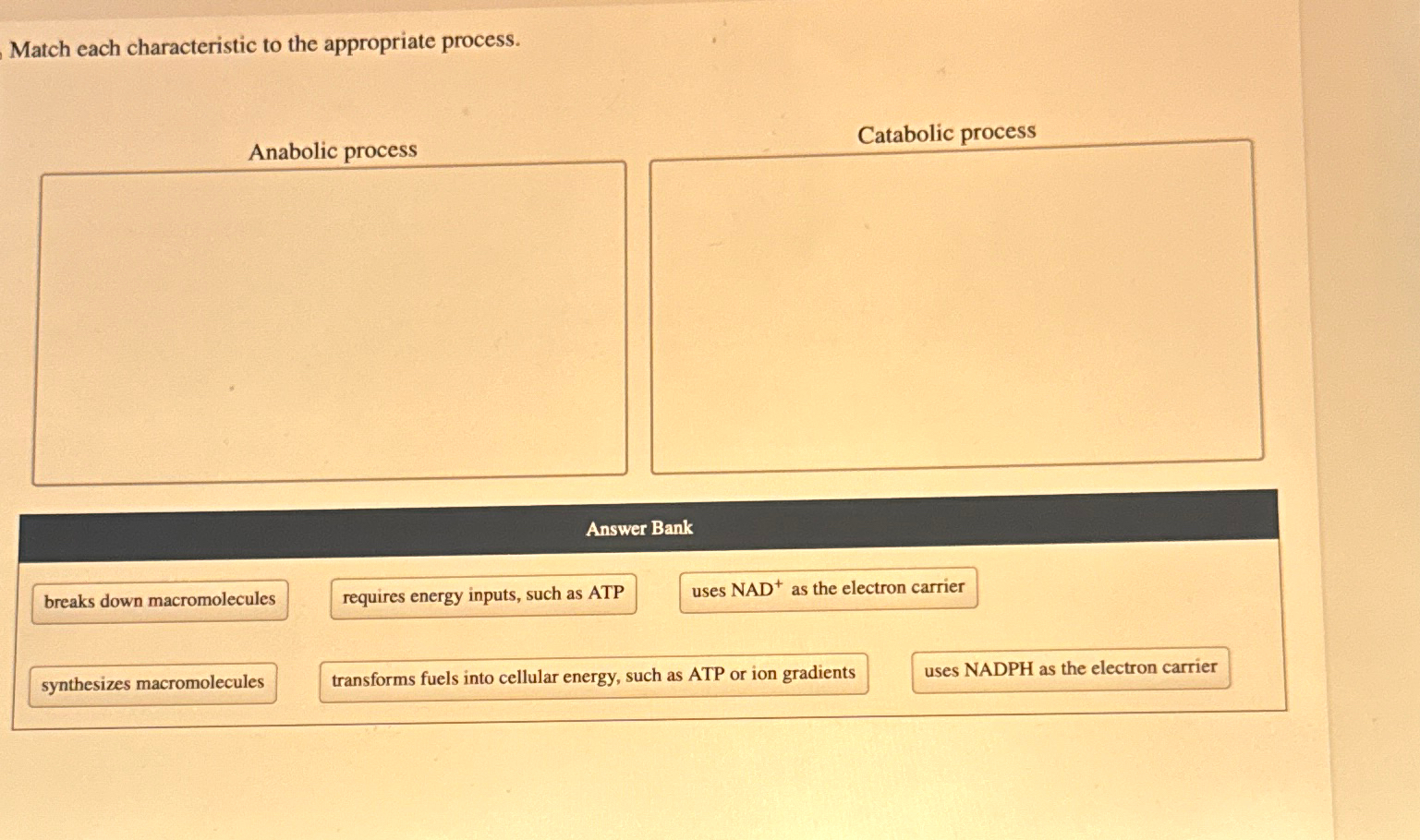 Solved Match each characteristic to the appropriate | Chegg.com