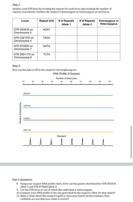 Solved Part 3: Building a DNA Profile and Solve a Crime | Chegg.com