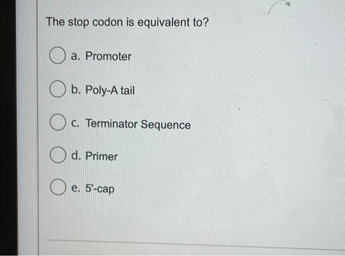 Solved The stop codon is equivalent to? a. Promoter b. | Chegg.com