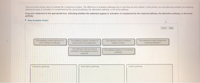 Solved There are three known ways to activate the complement | Chegg.com