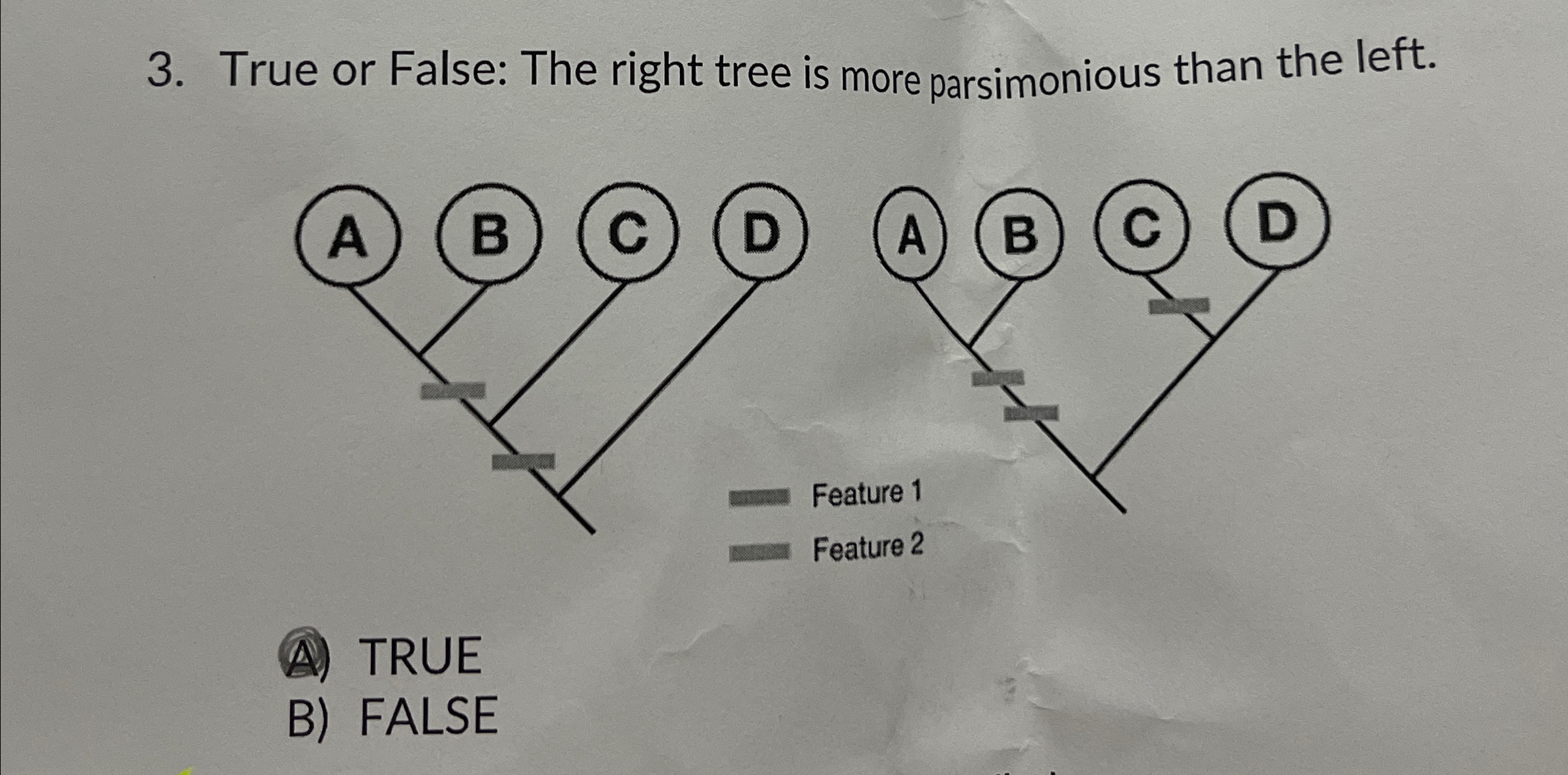 Solved True or False: The right tree is more parsimonious | Chegg.com