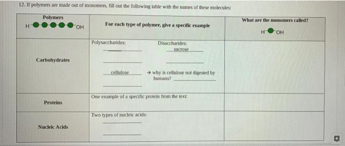 Solved 12. If polymers are made out of monomers, fill out | Chegg.com