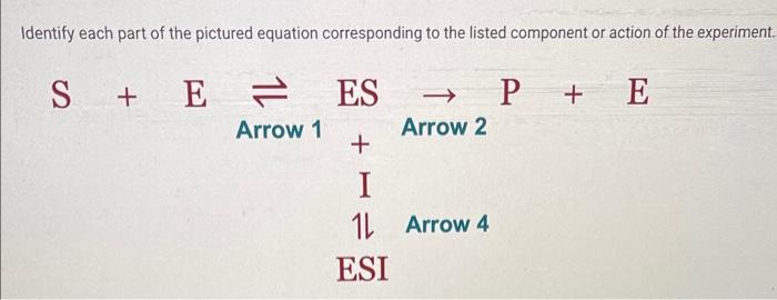 Solved Identify each part of the pictured equation | Chegg.com