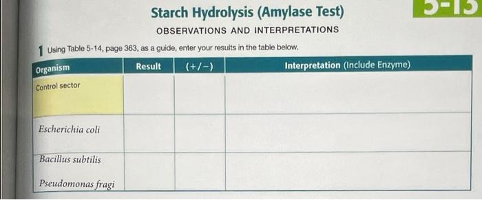 Solved Starch Hydrolysis (Amylase Test) OBSERVATIONS AND | Chegg.com