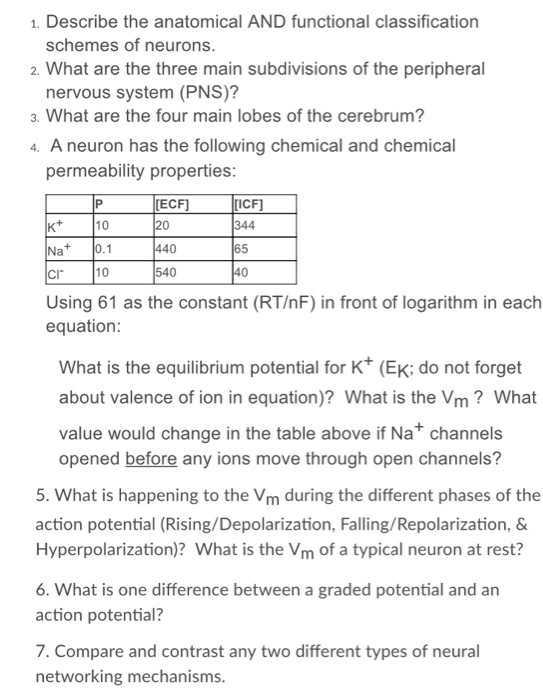 Solved 1. Describe the anatomical AND functional | Chegg.com