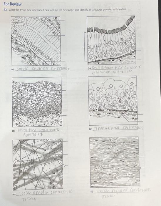 Solved For Review | Chegg.com