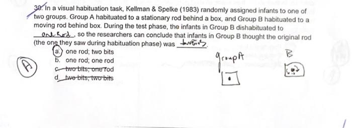 Solved D 30. In a visual habituation task, Kellman & Spelke | Chegg.com
