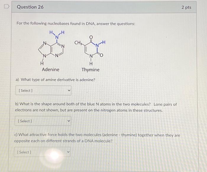 Solved For the following nucleobases found in DNA, answer | Chegg.com