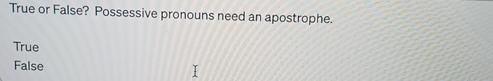 Solved True or False? Possessive pronouns need an | Chegg.com