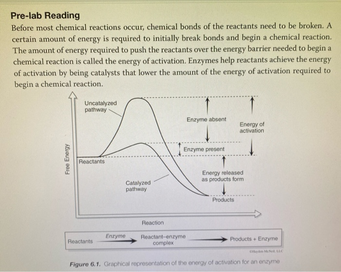 Solved Pre-lab Reading Before most chemical reactions occur, | Chegg.com