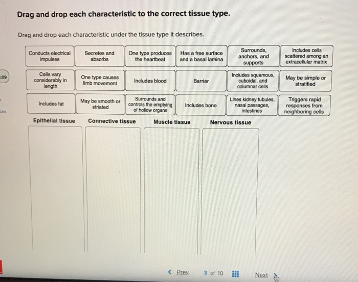 Solved Drag and drop each characteristic to the correct | Chegg.com Solved Drag and drop each characteristic to the correct | Chegg.com