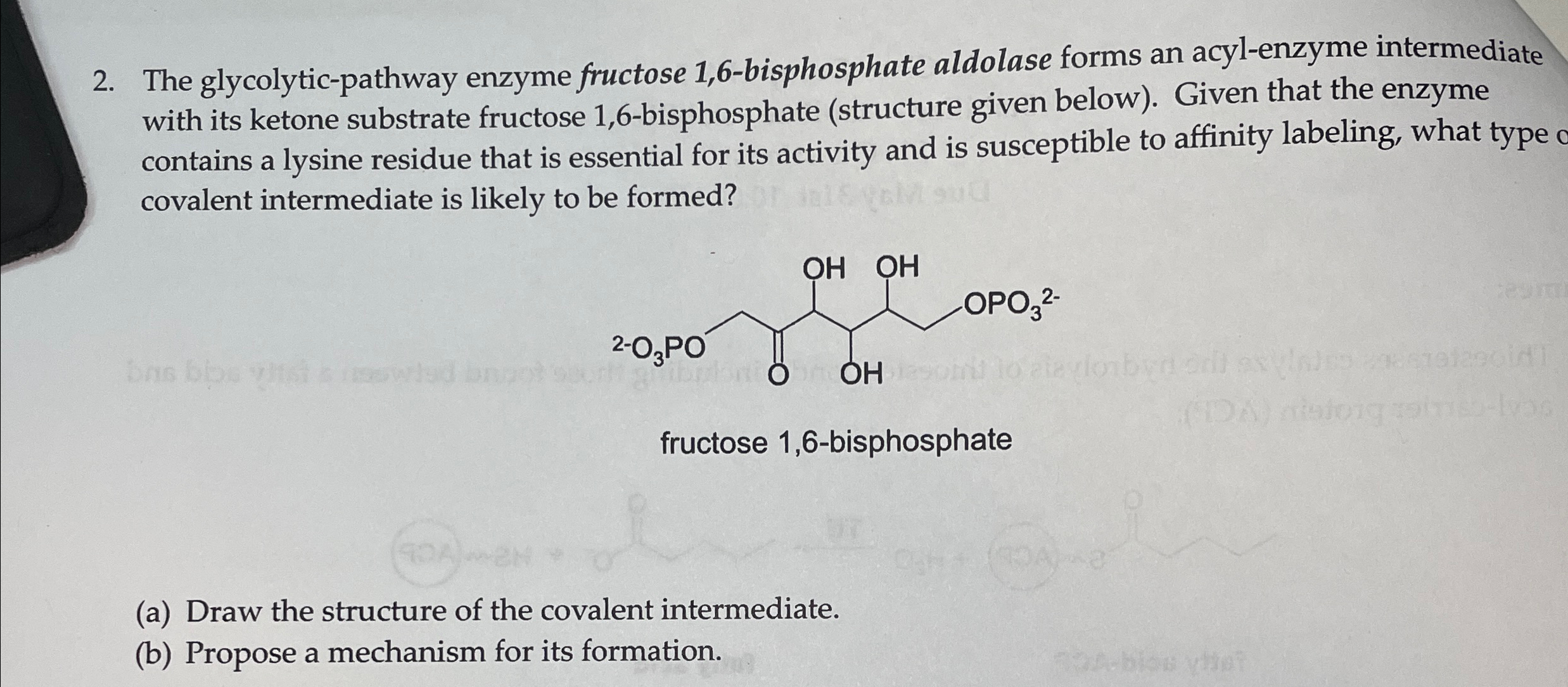Solved The glycolytic-pathway enzyme fructose | Chegg.com
