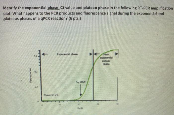 Identify the exponential phase, Ct value and plateau | Chegg.com