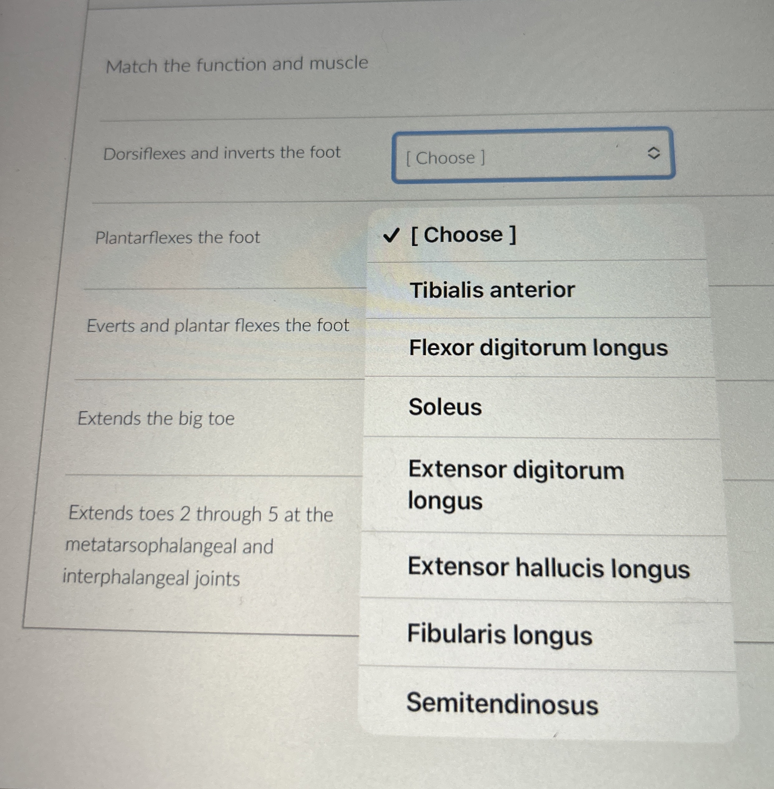 Solved Match the function and muscleDorsiflexes and inverts | Chegg.com
