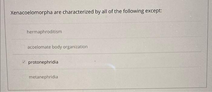 Solved Xenacoelomorpha are characterized by all of the | Chegg.com