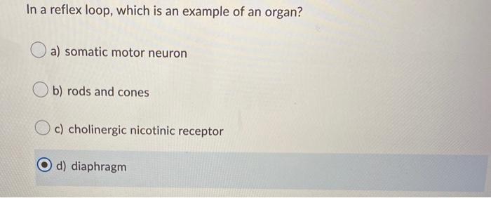 Solved In a reflex loop, which is an example of an organ? a) | Chegg.com