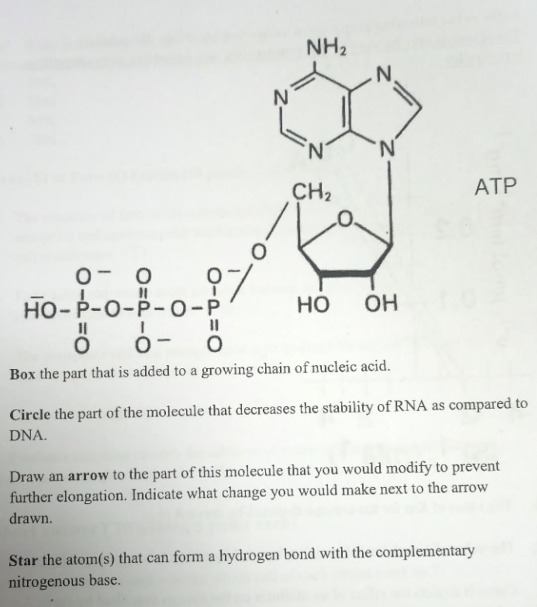 Solved Box the part that is added to a growing chain of | Chegg.com