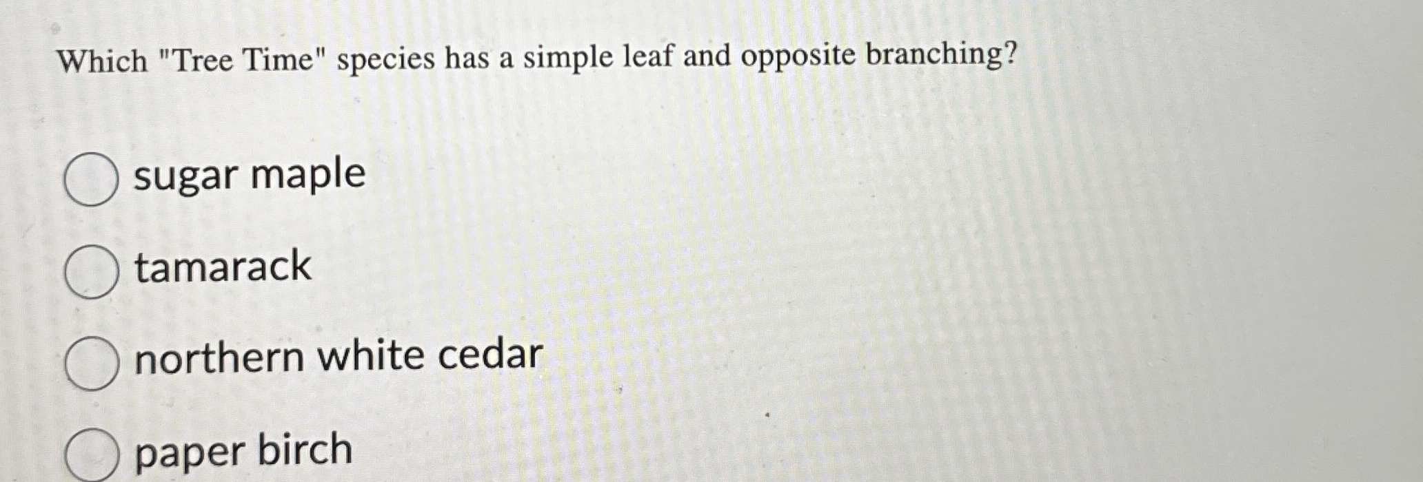 Solved Which "Tree Time" species has a simple leaf and | Chegg.com