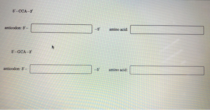 Solved for each codon, provide the anticodon and the | Chegg.com