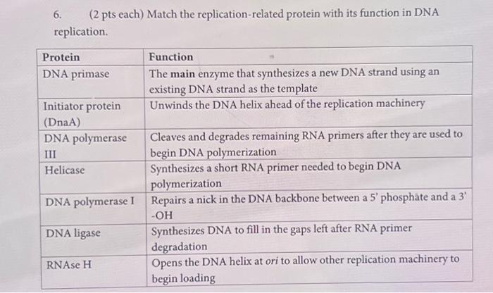 Solved 6. ( 2 pts each) Match the replication-related | Chegg.com