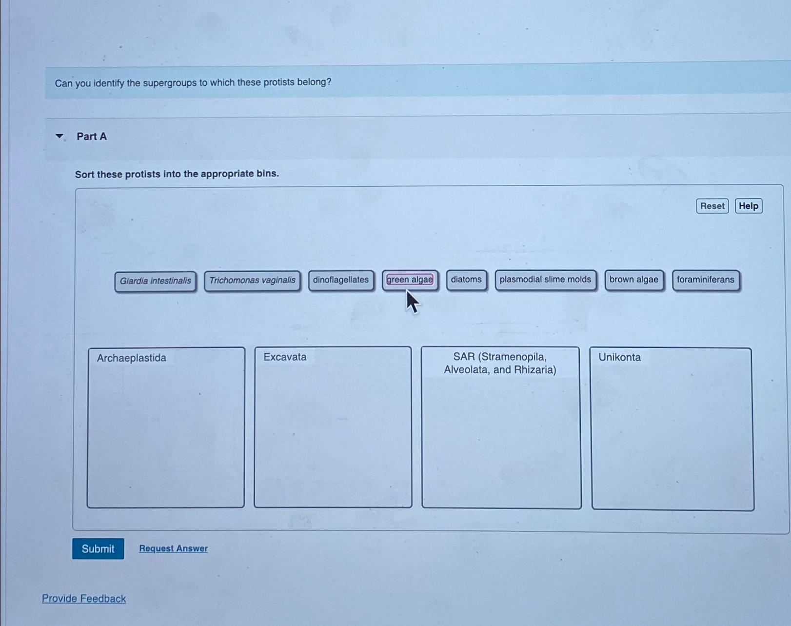 Solved Can you identify the supergroups to which these | Chegg.com