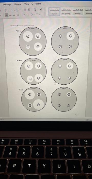 H.\begin{tabular}{l|l|lllll} 6 & 8 & L & 9 & 9 & b \\ | Chegg.com