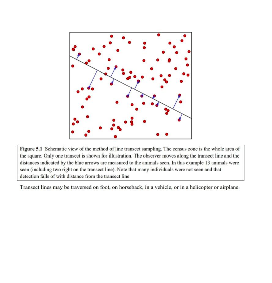 Belt Transect Sampling
