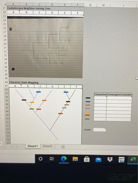 I need help making a character state mapping tree. I | Chegg.com