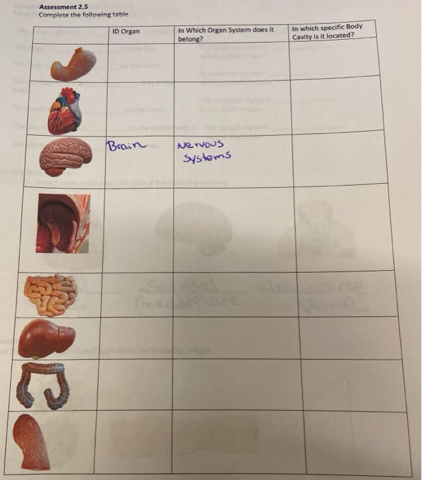 Solved Assessment 2.5 Complete the following table. ID Organ | Chegg.com