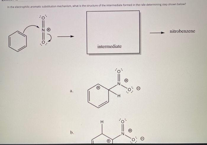 Solved 1- In the electrophilic aromatic substitution | Chegg.com