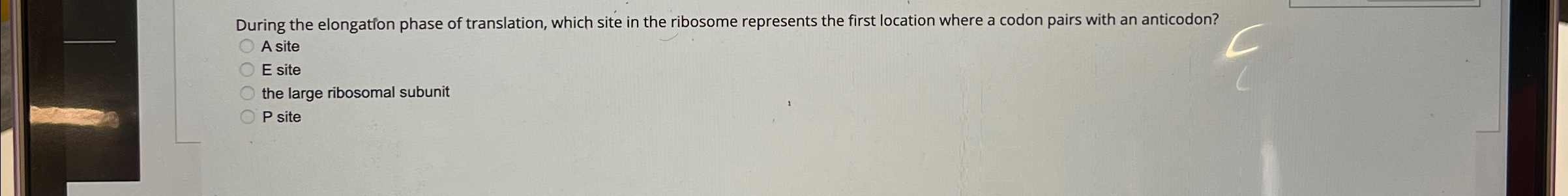 Solved During the elongation phase of translation, which | Chegg.com