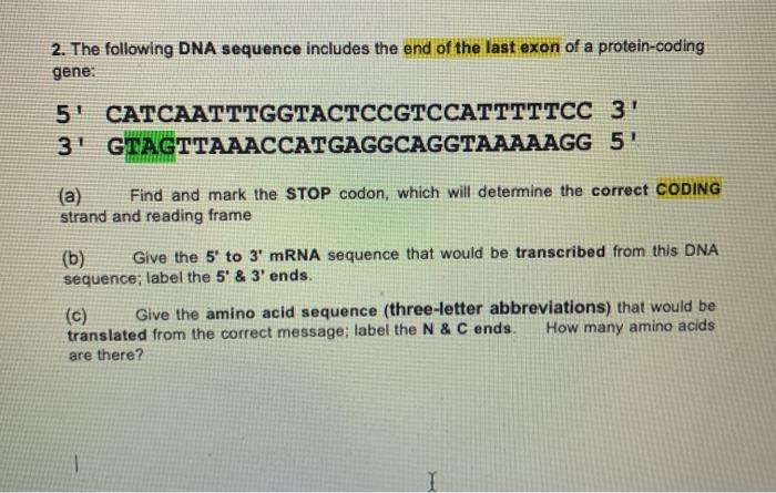 Solved 2. The following DNA sequence includes the end of the | Chegg.com