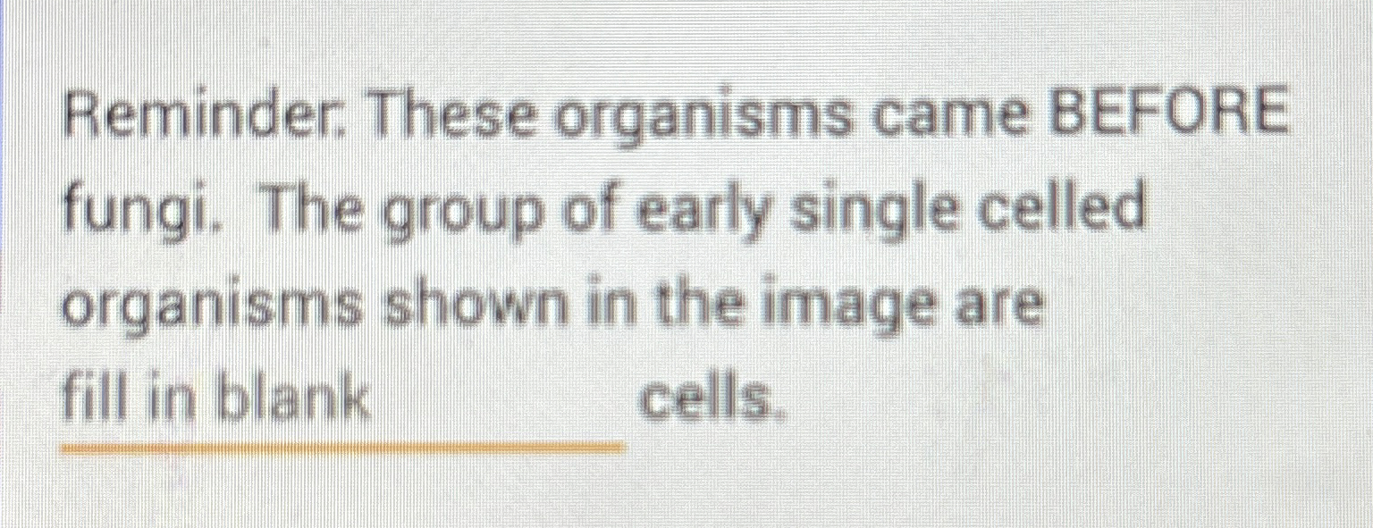 Solved Reminder: These organisms came BEFORE fungi. The | Chegg.com