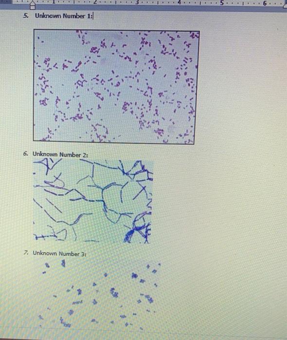 Solved Identify the gram reaction (gram+ or | Chegg.com